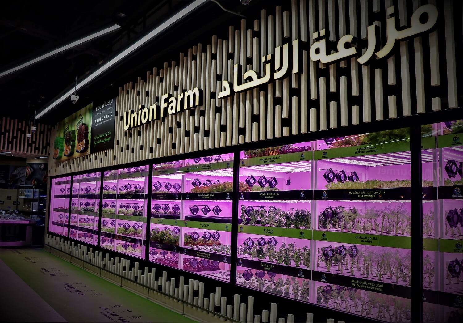 Union Farm: Union Coop’s latest in-house Organic Farming Concept Debuts ...